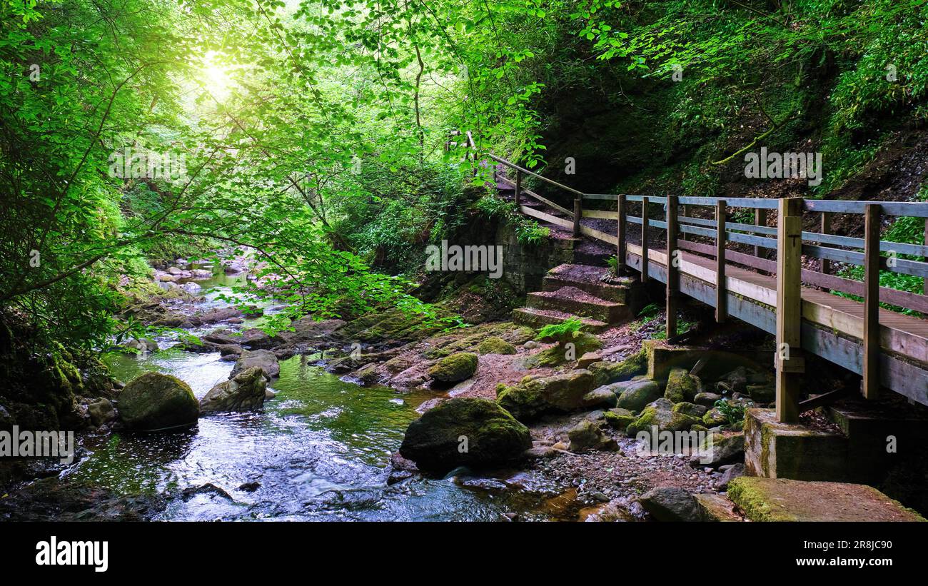 Dunrobin wood hi-res stock photography and images - Alamy