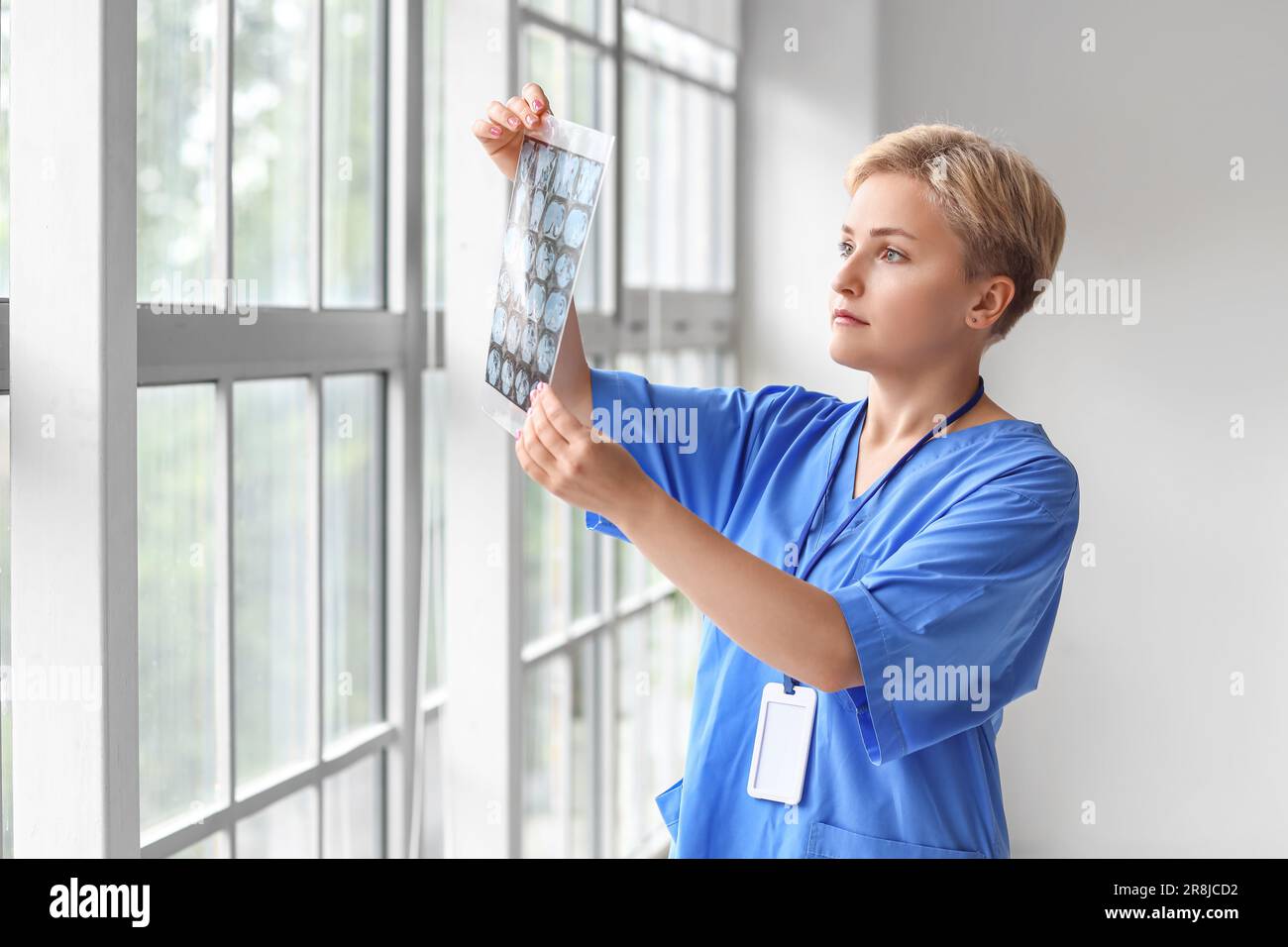 Female medical intern with x-ray scan in clinic Stock Photo - Alamy