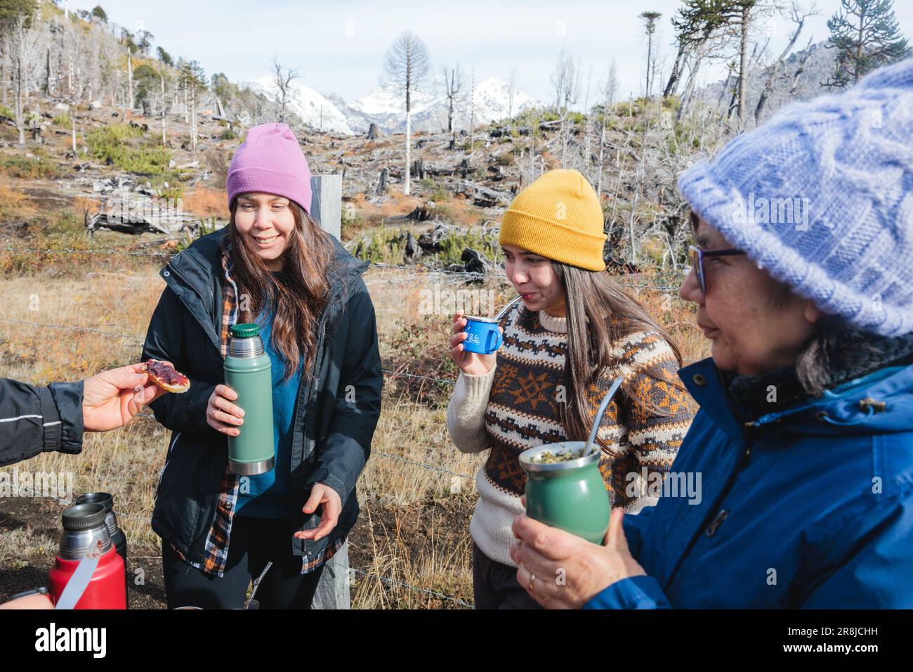 Female family, mother and daughters, drinking yerba mate in breakfast ...