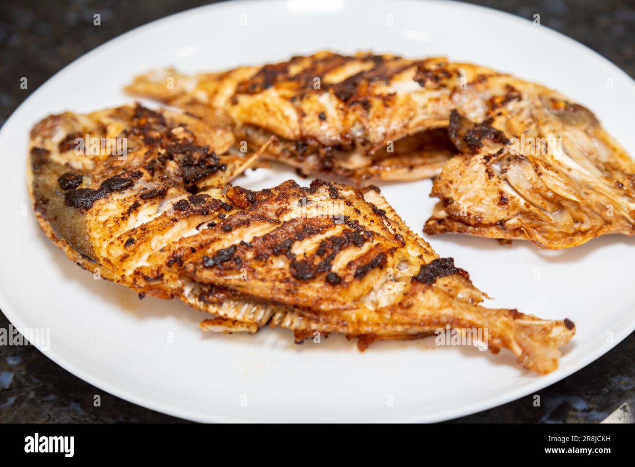 Clean and seasoned Peroá fish (Balistes capriscus) . Typical fish from ...