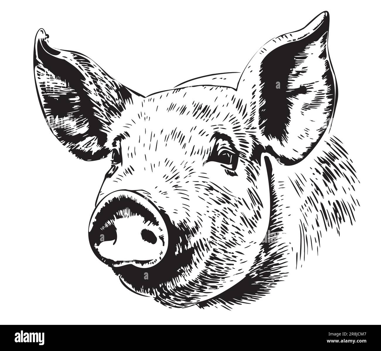 Pig sketch hand drawn in doodle style Farm animals Vector illustration ...
