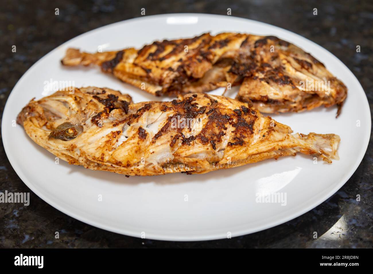 Clean and seasoned Peroá fish (Balistes capriscus) . Typical fish from ...