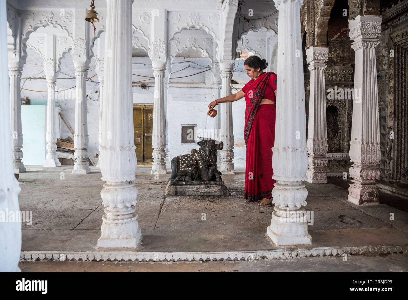 A woman offers water to a Nandi Statue in Varanasi, India Stock Photo ...