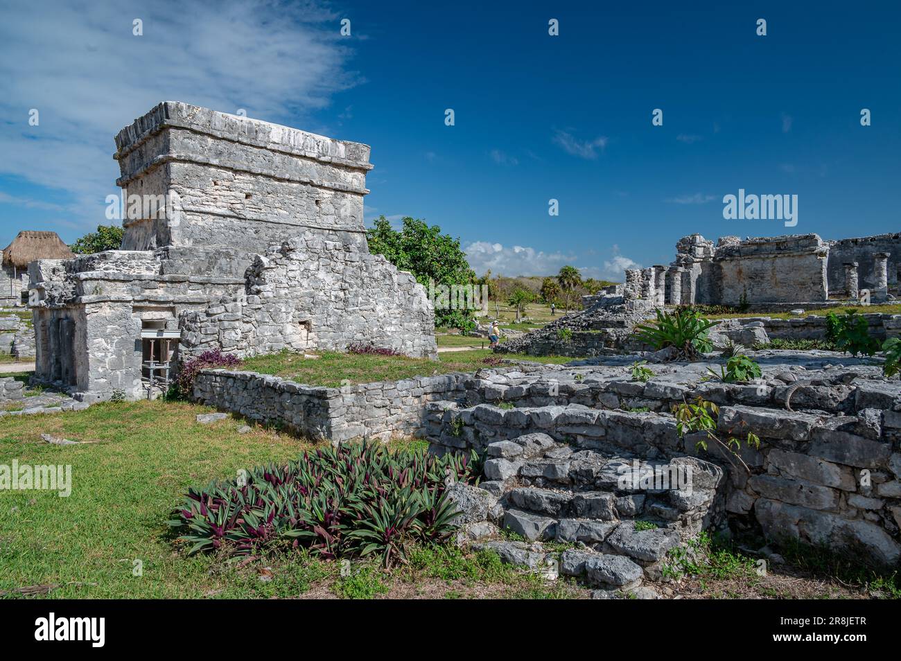 Maya Temple in the Archeological site of Tuluml, the only maya site ...