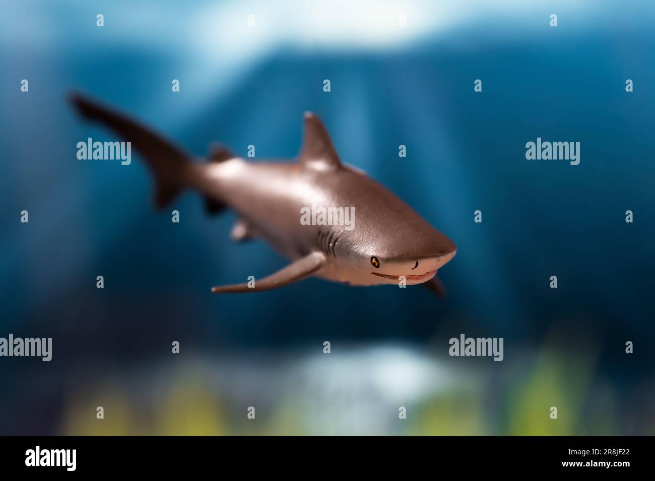 plastic toy shark with underwater background Stock Photo - Alamy