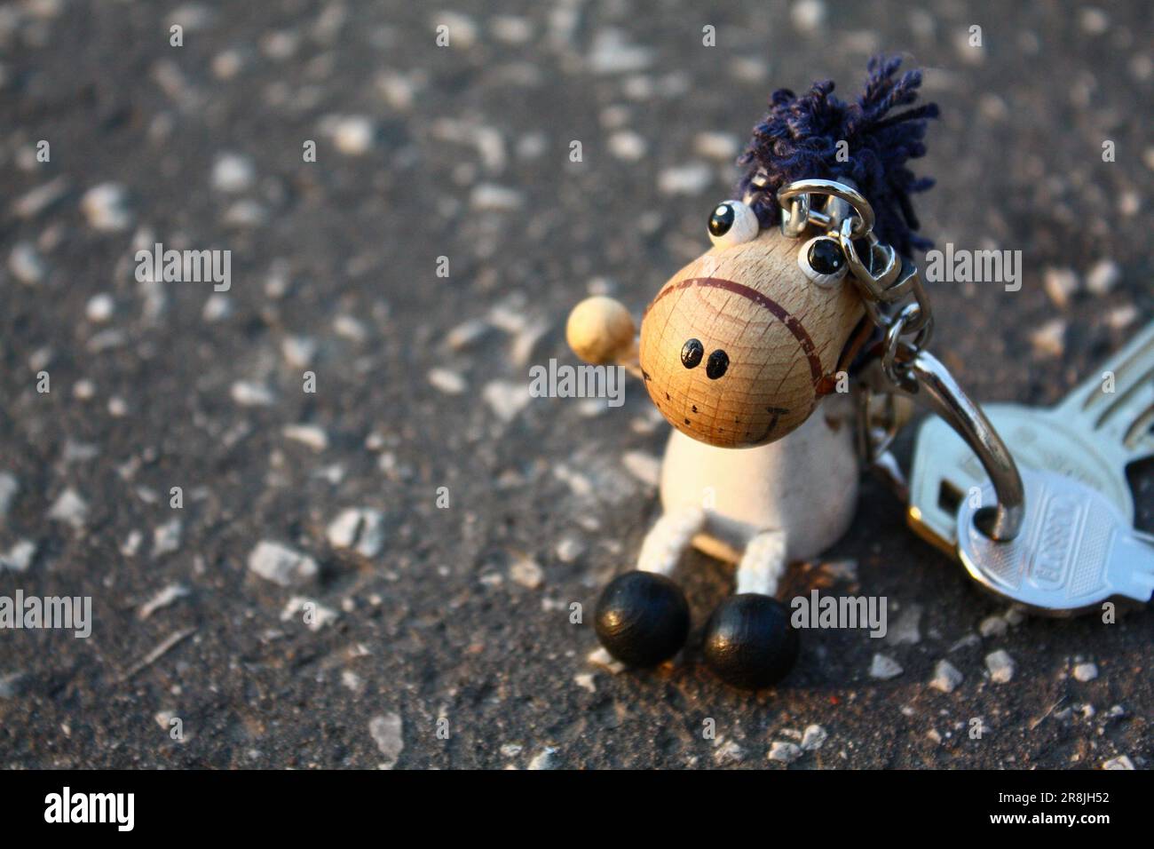 a horse key tag on the ground Stock Photo - Alamy