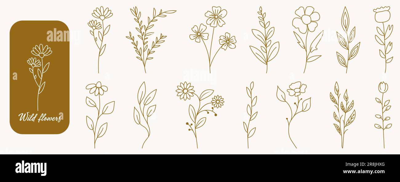 Set of outline wild flowers and leaves. Vector illustration isolated on ...