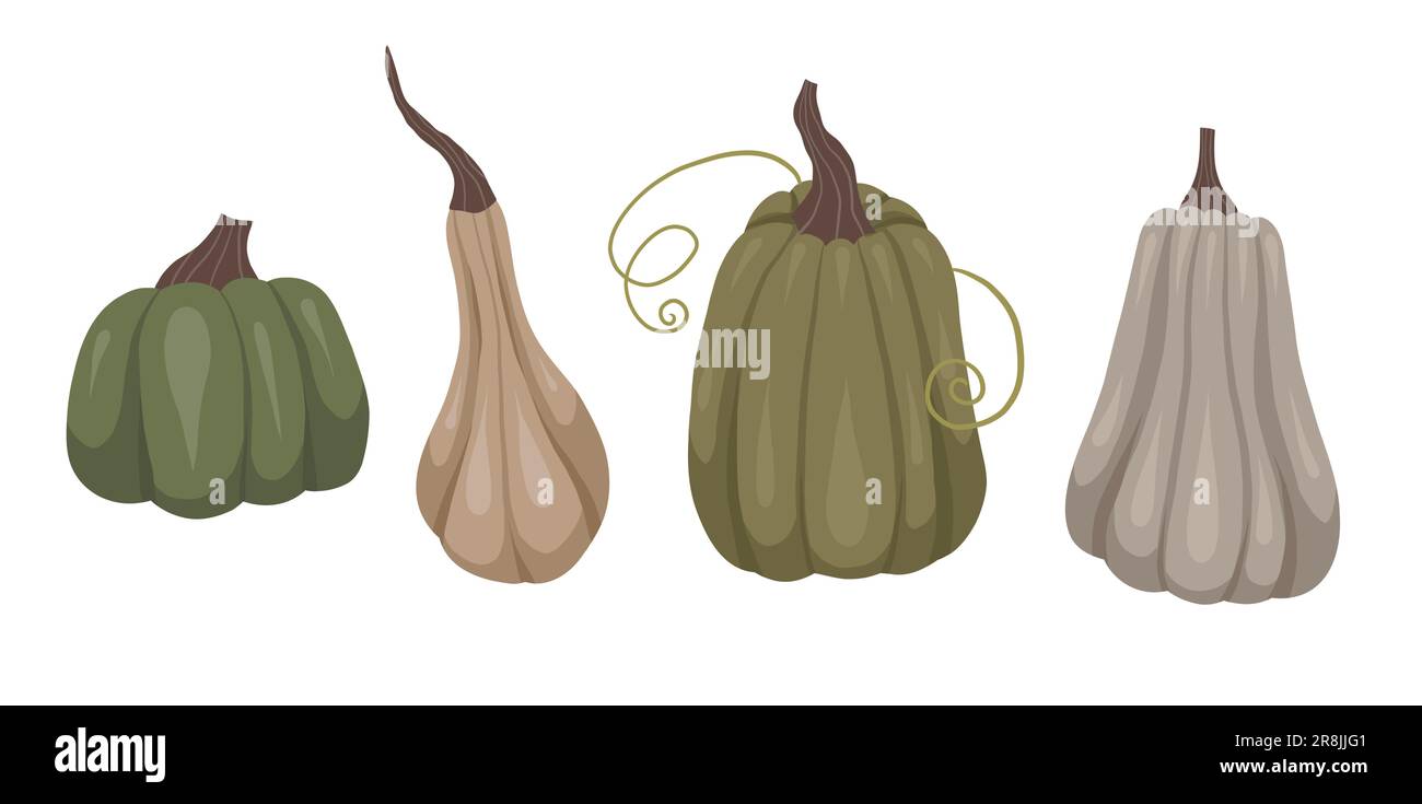Vector set of cozy pumpkins with stem curls isolated from the ...