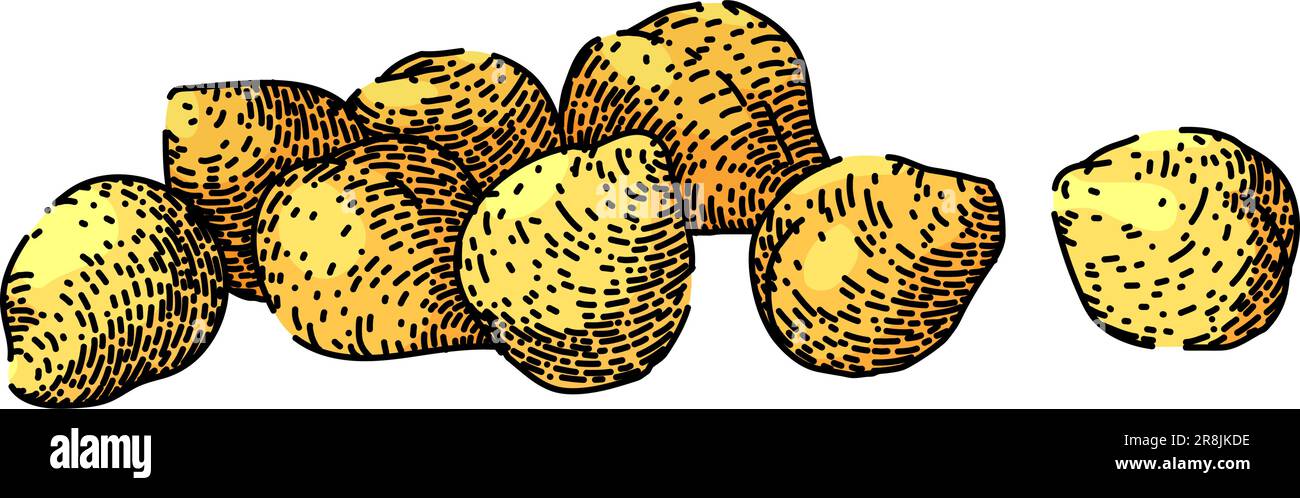 chickpea hummus food sketch hand drawn vector Stock Vector Image & Art ...