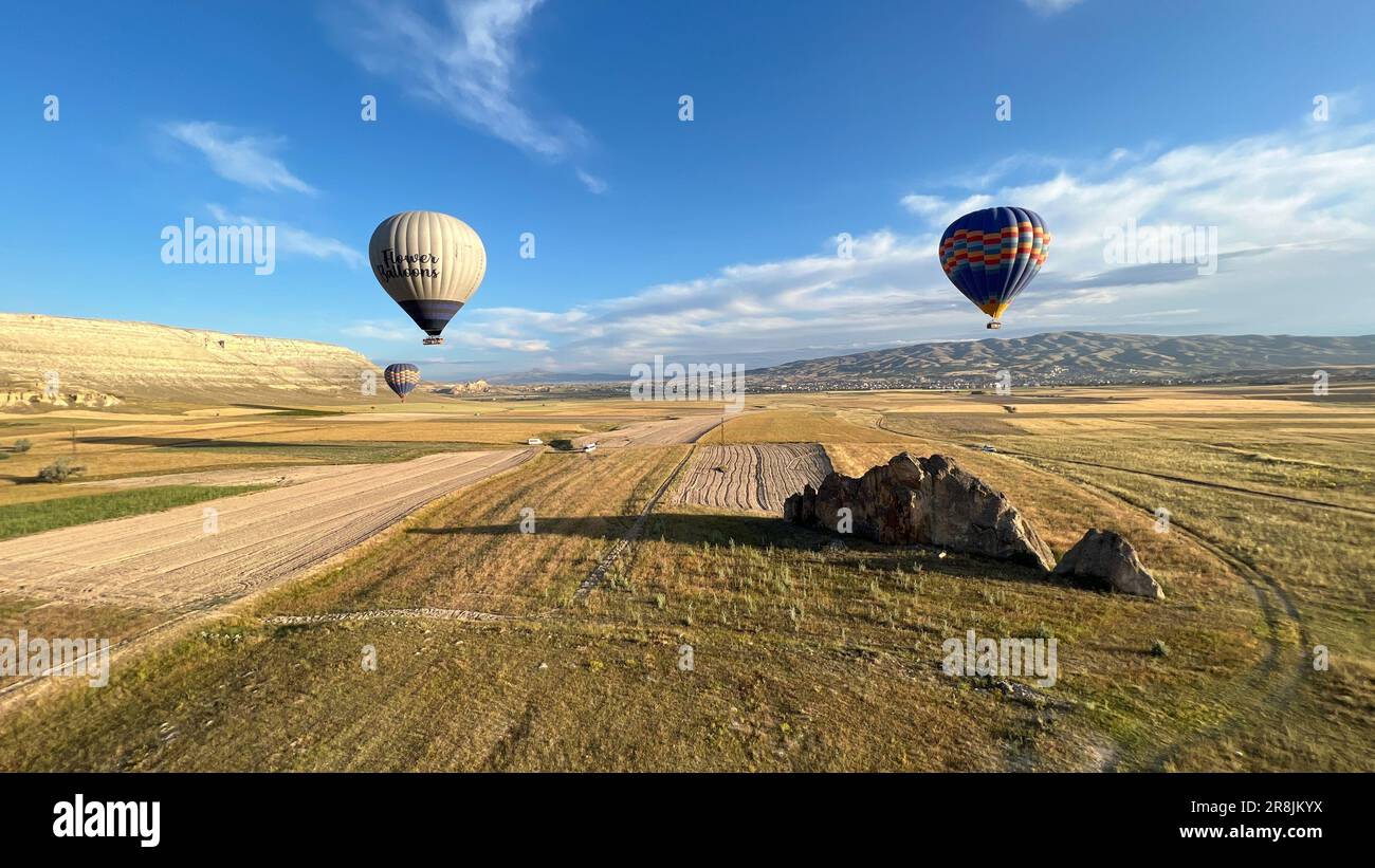 The beautiful iconic air balloons floating over a rural field in ...