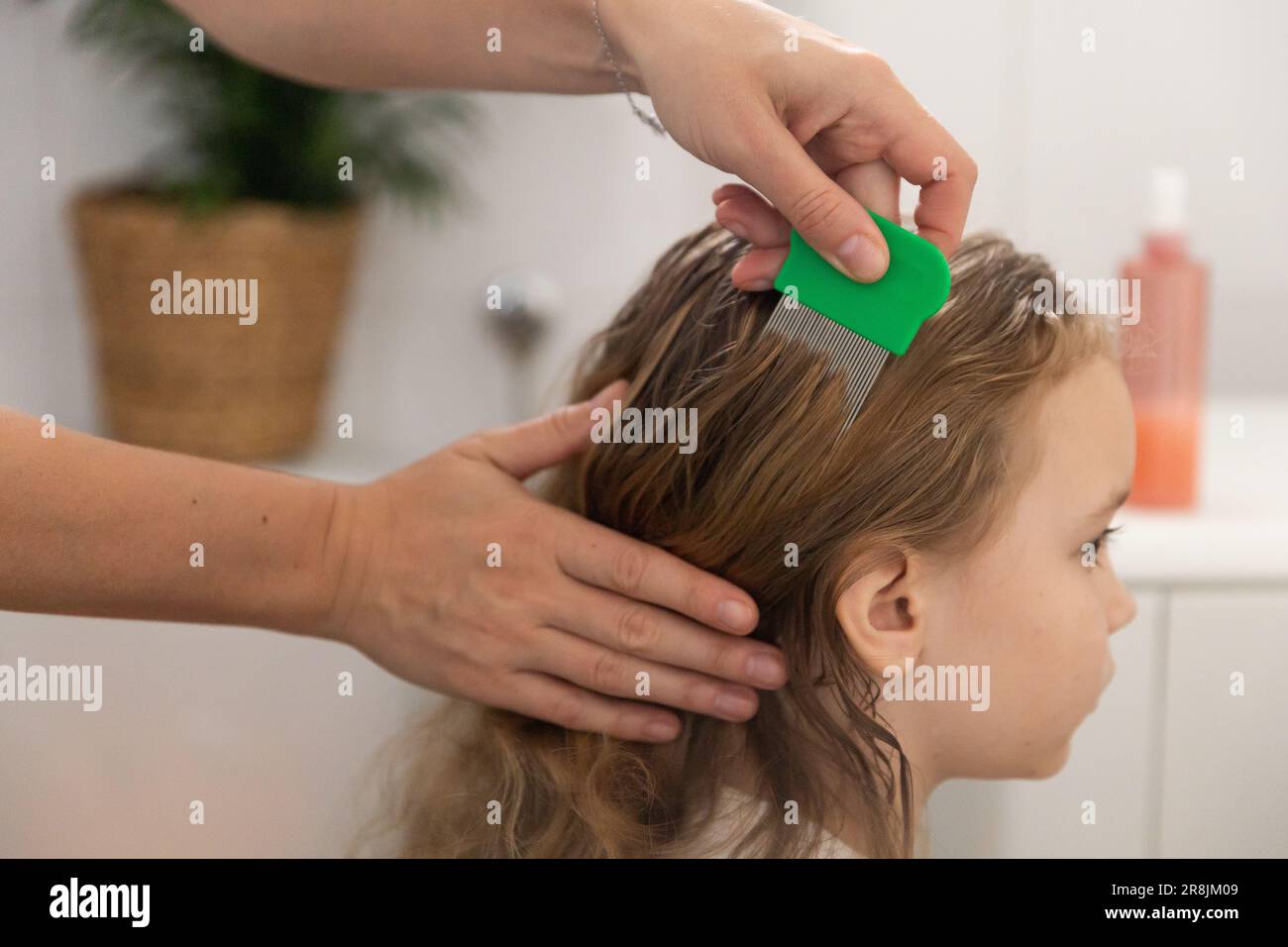 A woman helps to get rid of lice and parasites on the head of a little ...