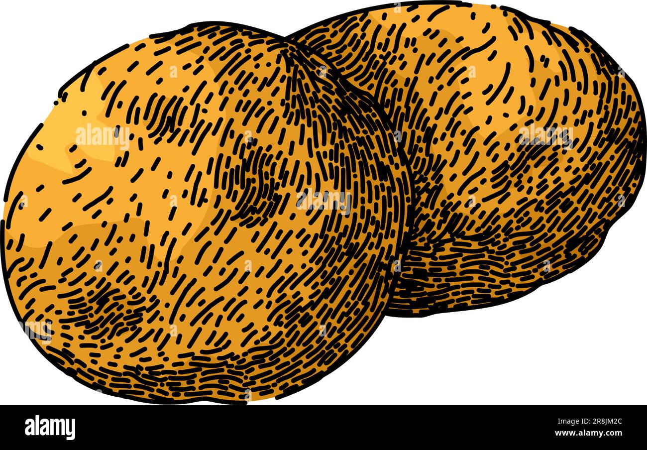 oatmeal oat cookies sketch hand drawn vector Stock Vector Image & Art ...