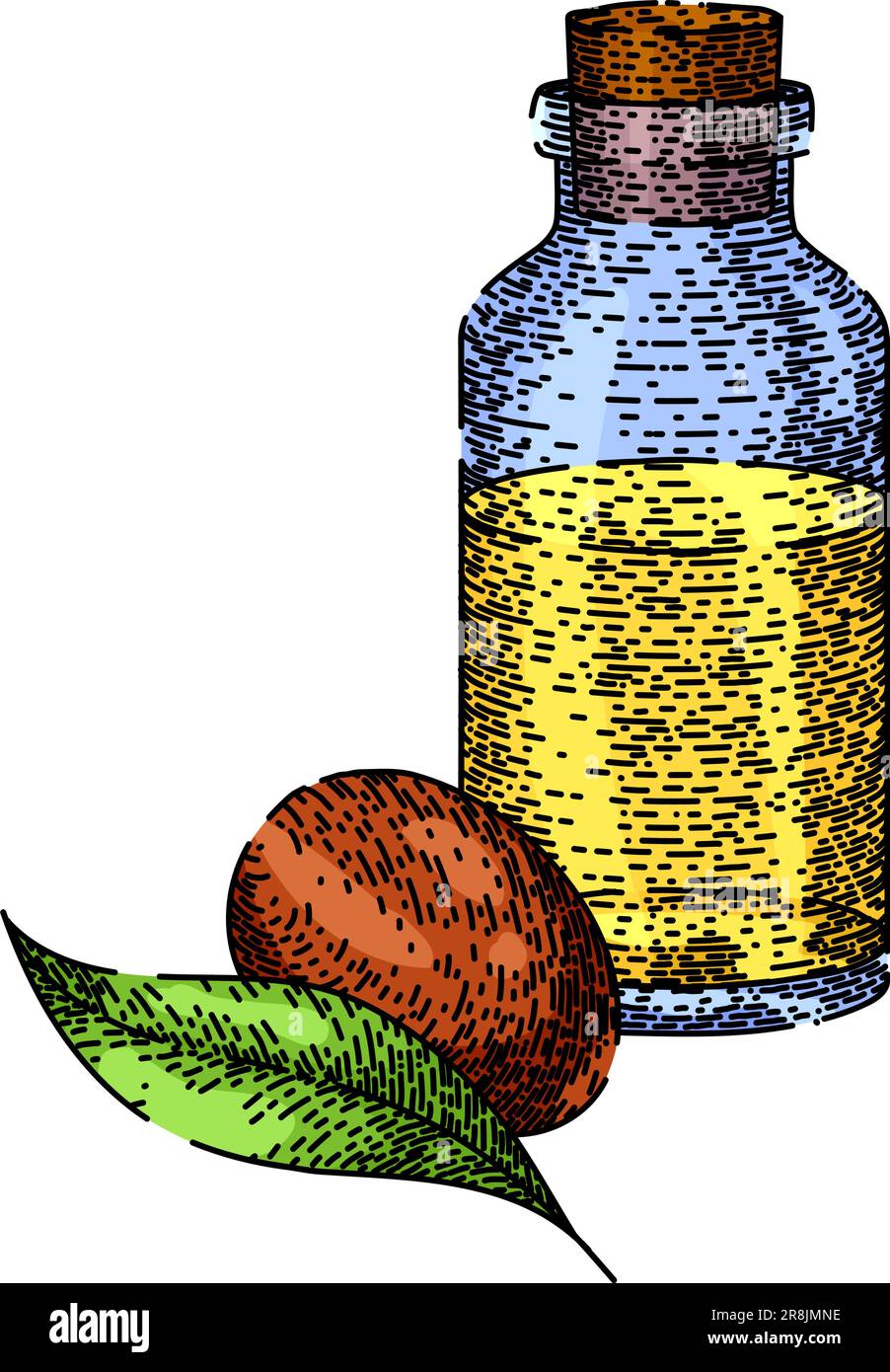 jojoba oil bottle sketch hand drawn vector Stock Vector Image & Art - Alamy