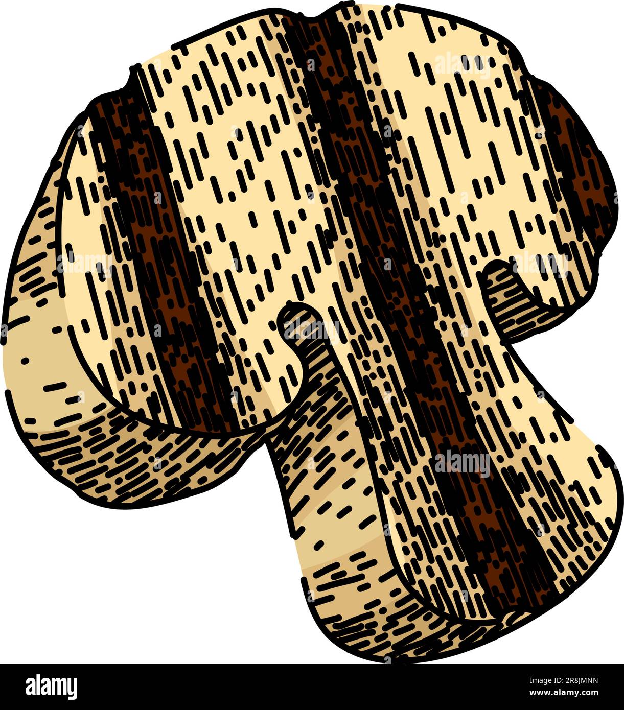 mushroom grilled vegetables sketch hand drawn vector Stock Vector Image ...