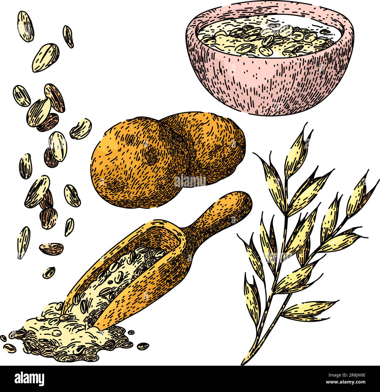 oatmeal oat bowl set sketch hand drawn vector Stock Vector Image & Art ...