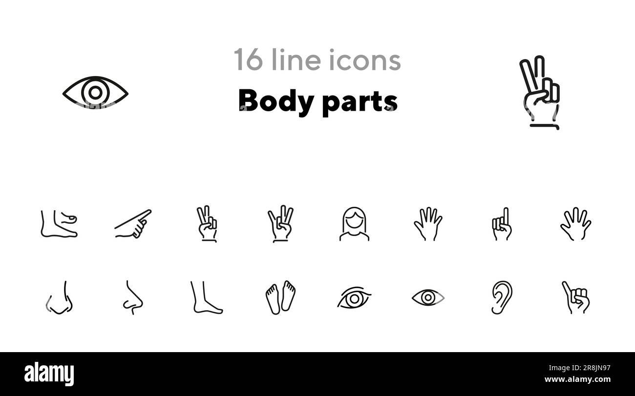 Body parts line icon set Stock Vector Image & Art - Alamy