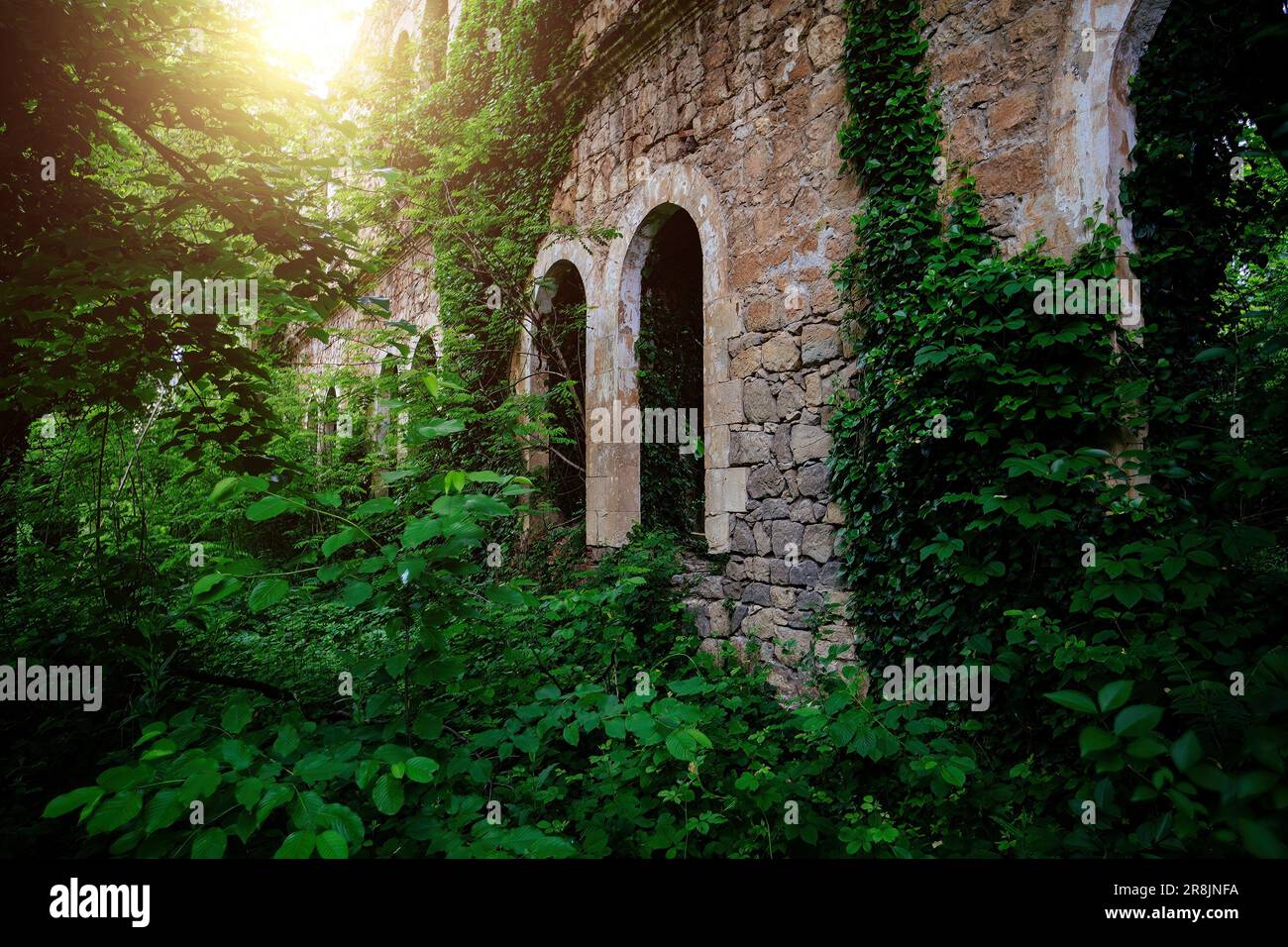 Old ruins of historical building overgrown by vegetation Stock Photo ...