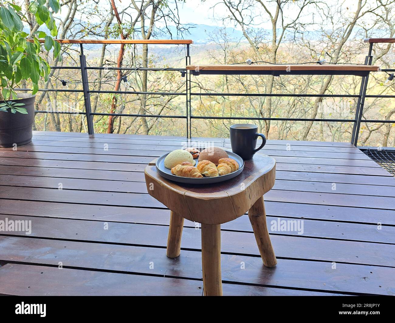 Breakfast on the terrace of a cabin in the woods on a wooden table with ...