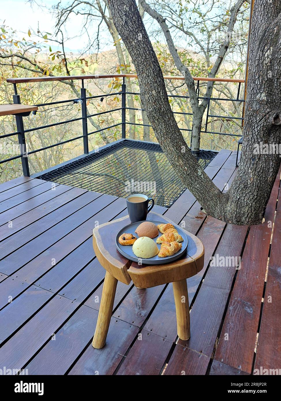 Breakfast on the terrace of a cabin in the woods on a wooden table with ...