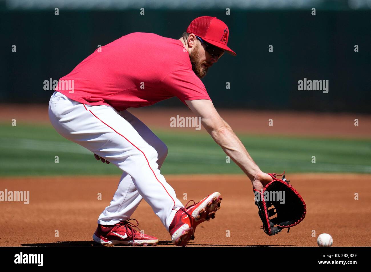 Los Angeles Angels left fielder Taylor Ward (3) participates in batting ... Los Angeles Angels left fielder Taylor Ward (3) participates in batting ...