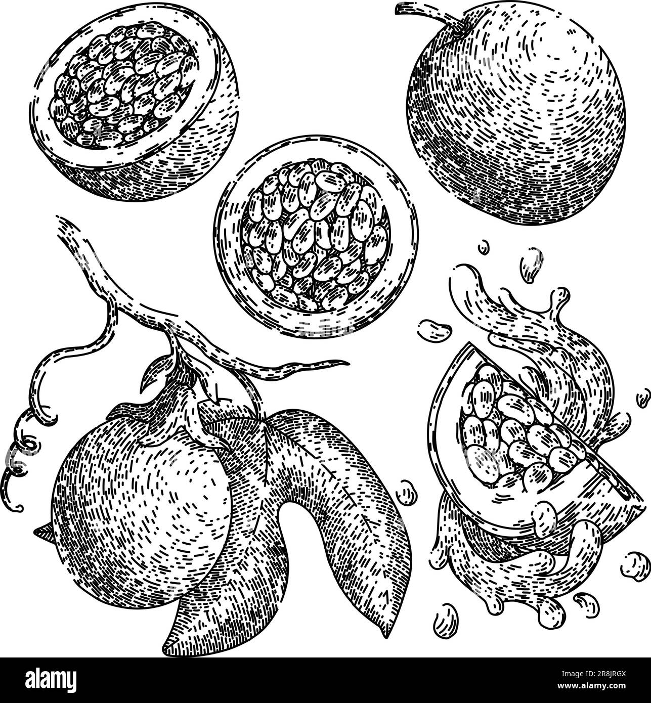 Passion Fruit Set Sketch Hand Drawn Vector Stock Vector Image And Art Alamy
