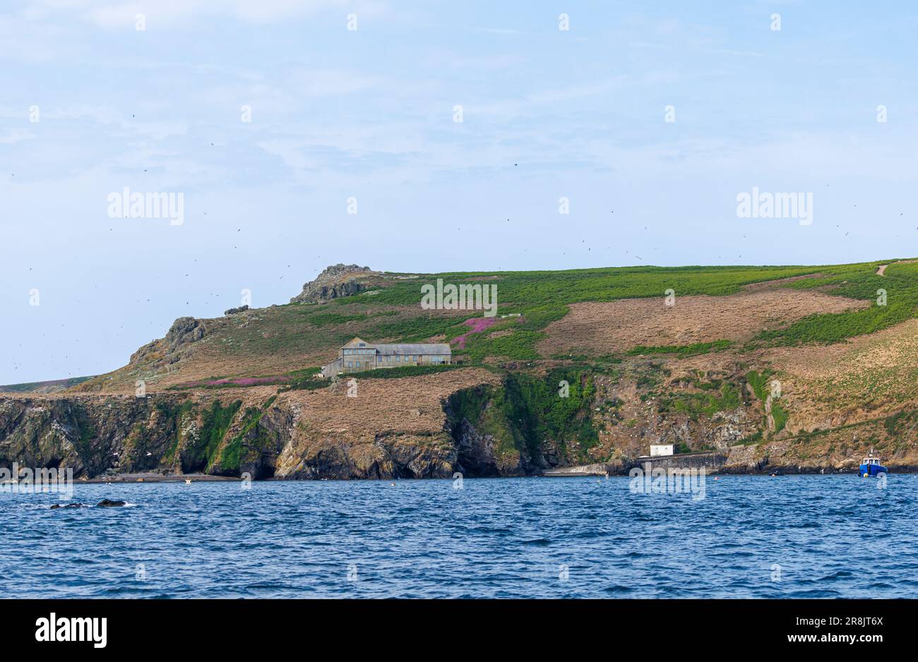 The new warden's house and North Haven beach on Skomer, an island off ...