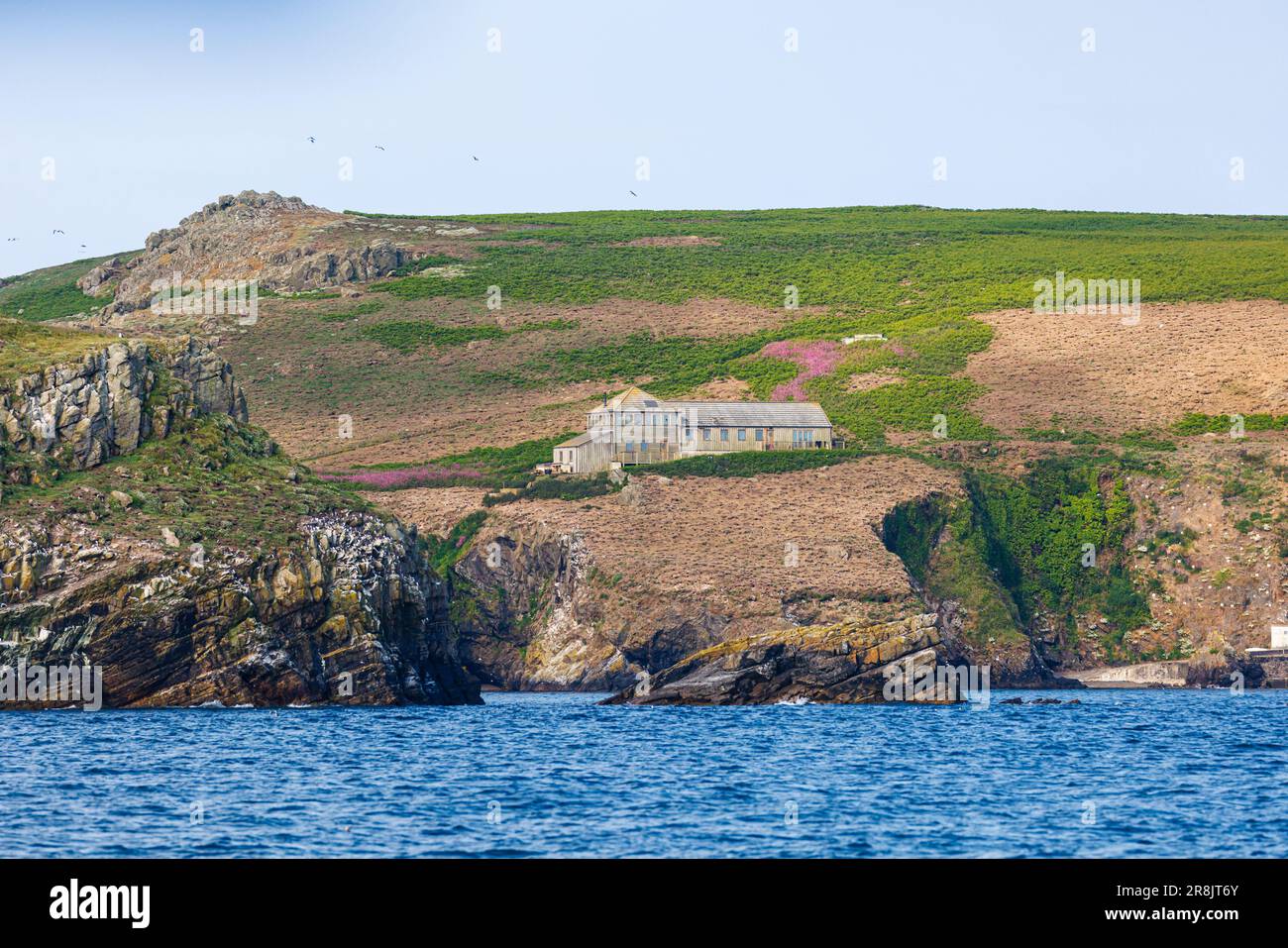 The new warden's house and North Haven beach on Skomer, an island off ...