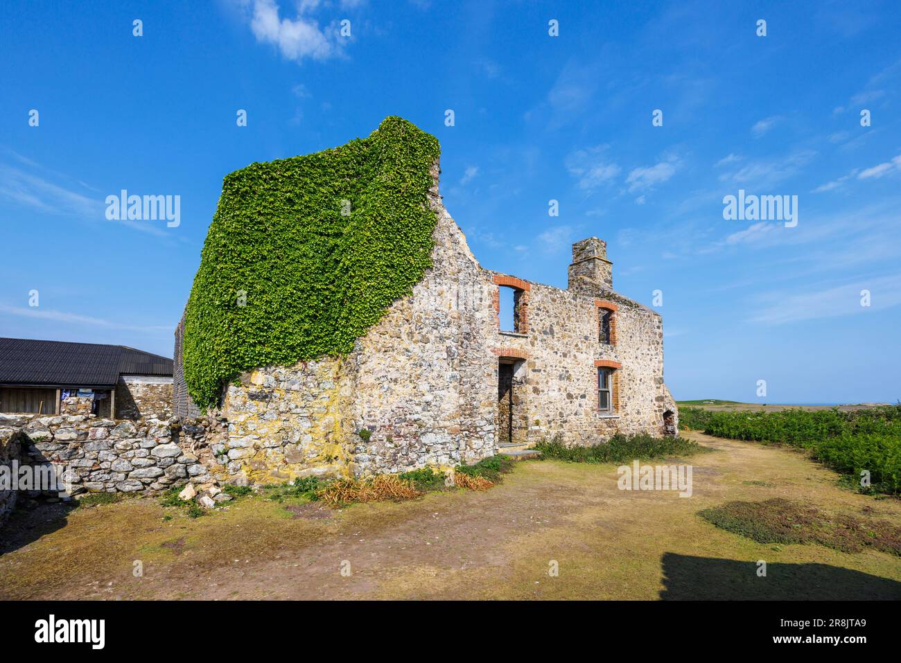 The Old Farm on Skomer, an island off the coast of Pembrokeshire, near ...