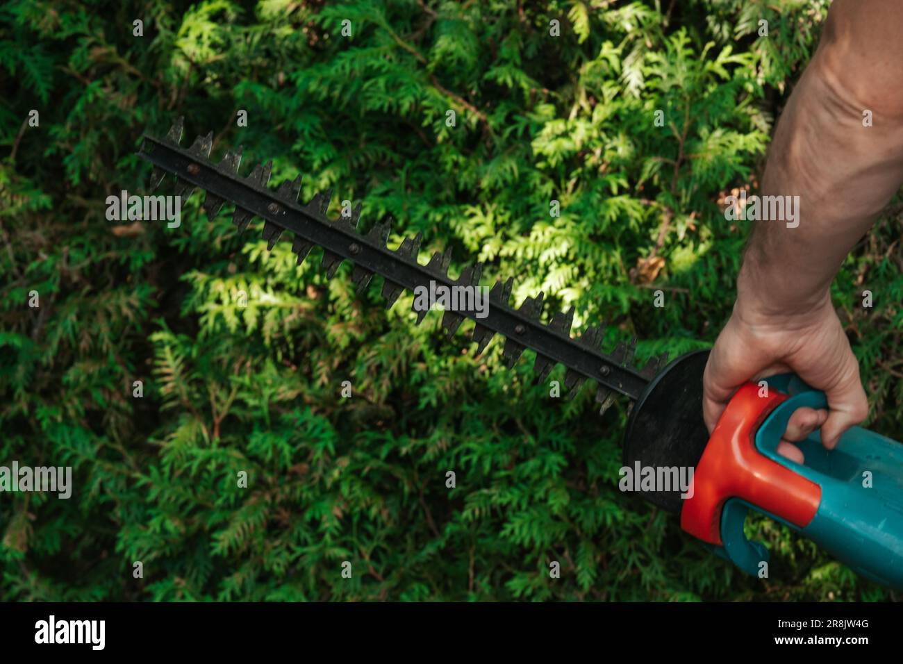 hedge formation.Garden tools and accessories.Plant pruning.Brush cutter ...