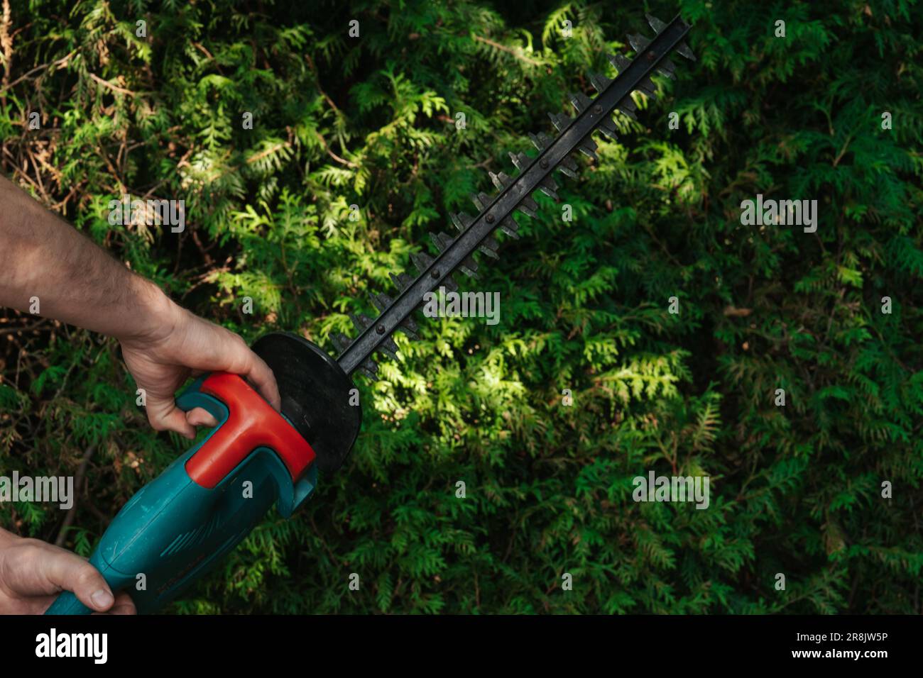 hedge formation.Garden tools and accessories.Plant pruning.Brush cutter ...