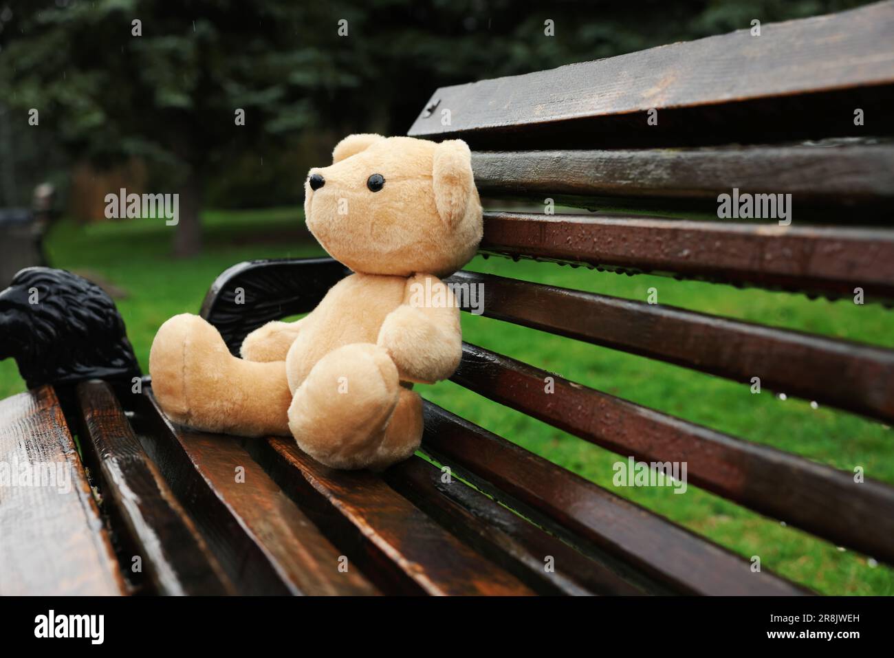 Lonely teddy bear on wooden bench outdoors Stock Photo - Alamy