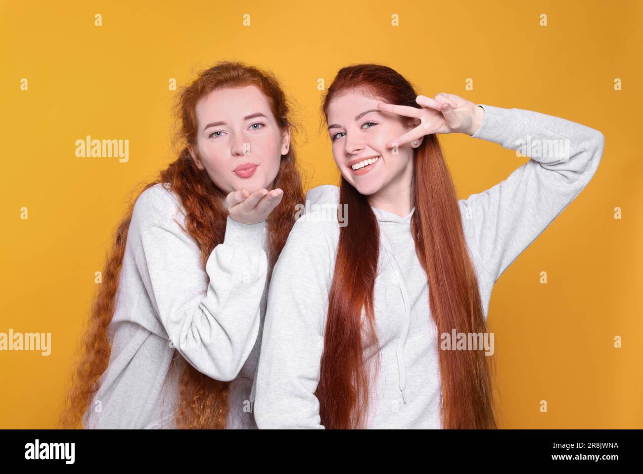 Portrait of beautiful young redhead sisters on orange background Stock ...