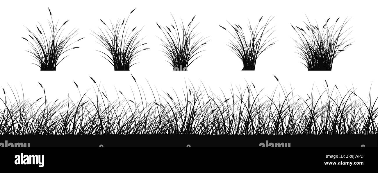 silhouettes of grass Stock Vector Image & Art - Alamy