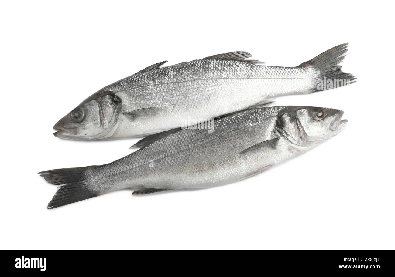 Fresh sea bass fish on white background, top view Stock Photo - Alamy