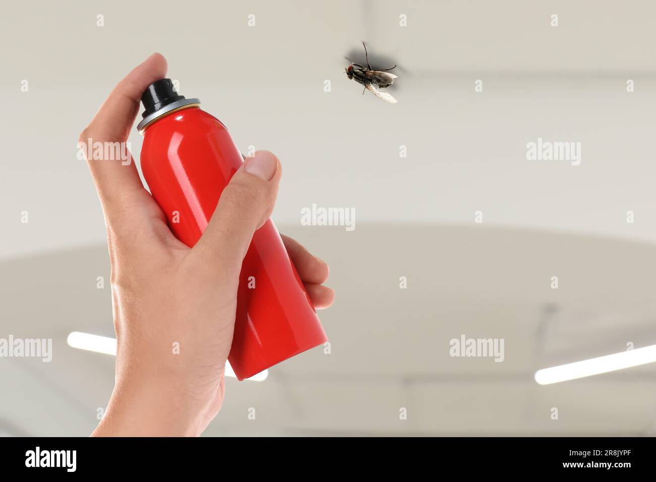 Fluorescent insects hi-res stock photography and images - Alamy