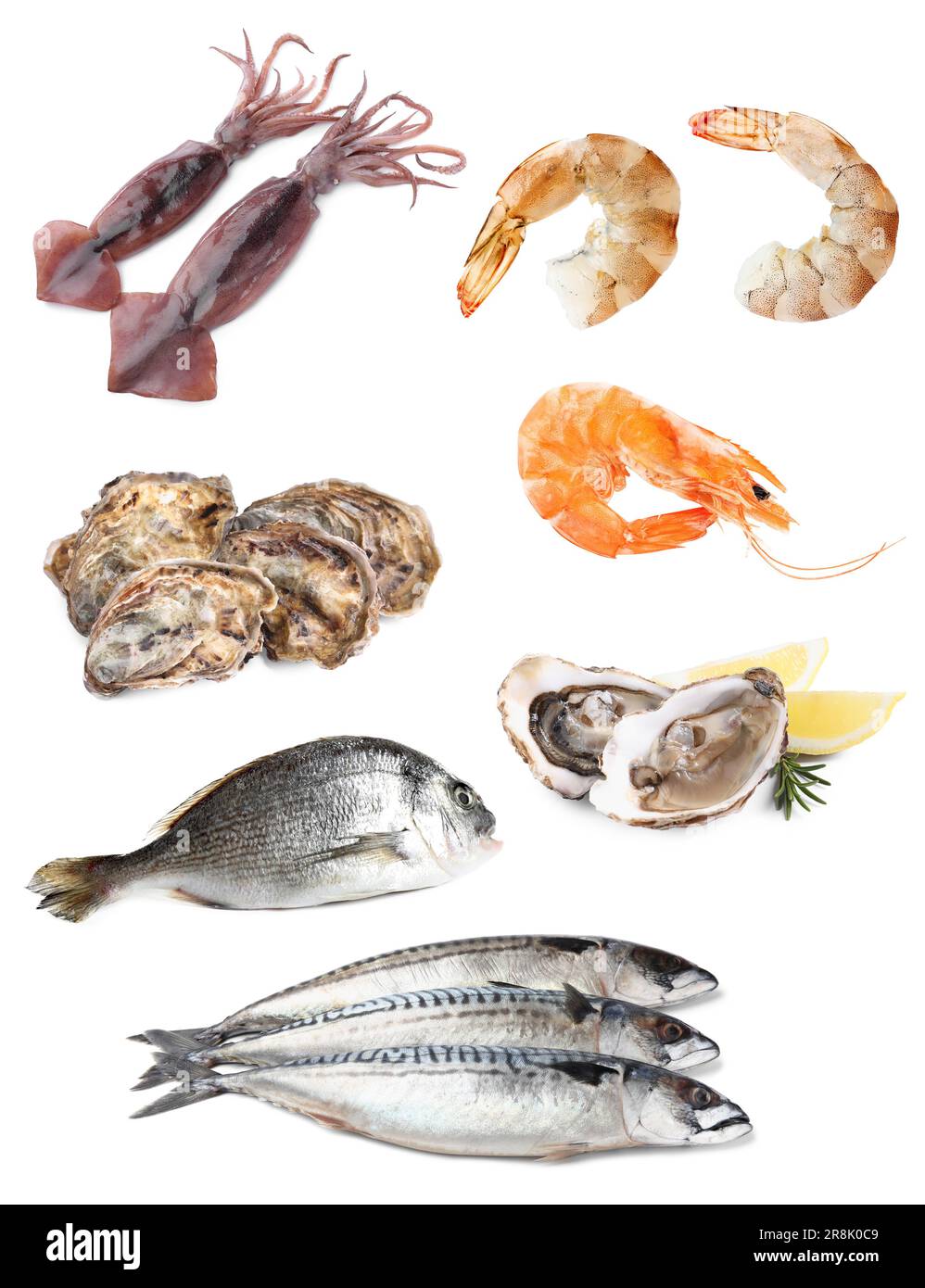 Collage with different seafood on white background Stock Photo - Alamy