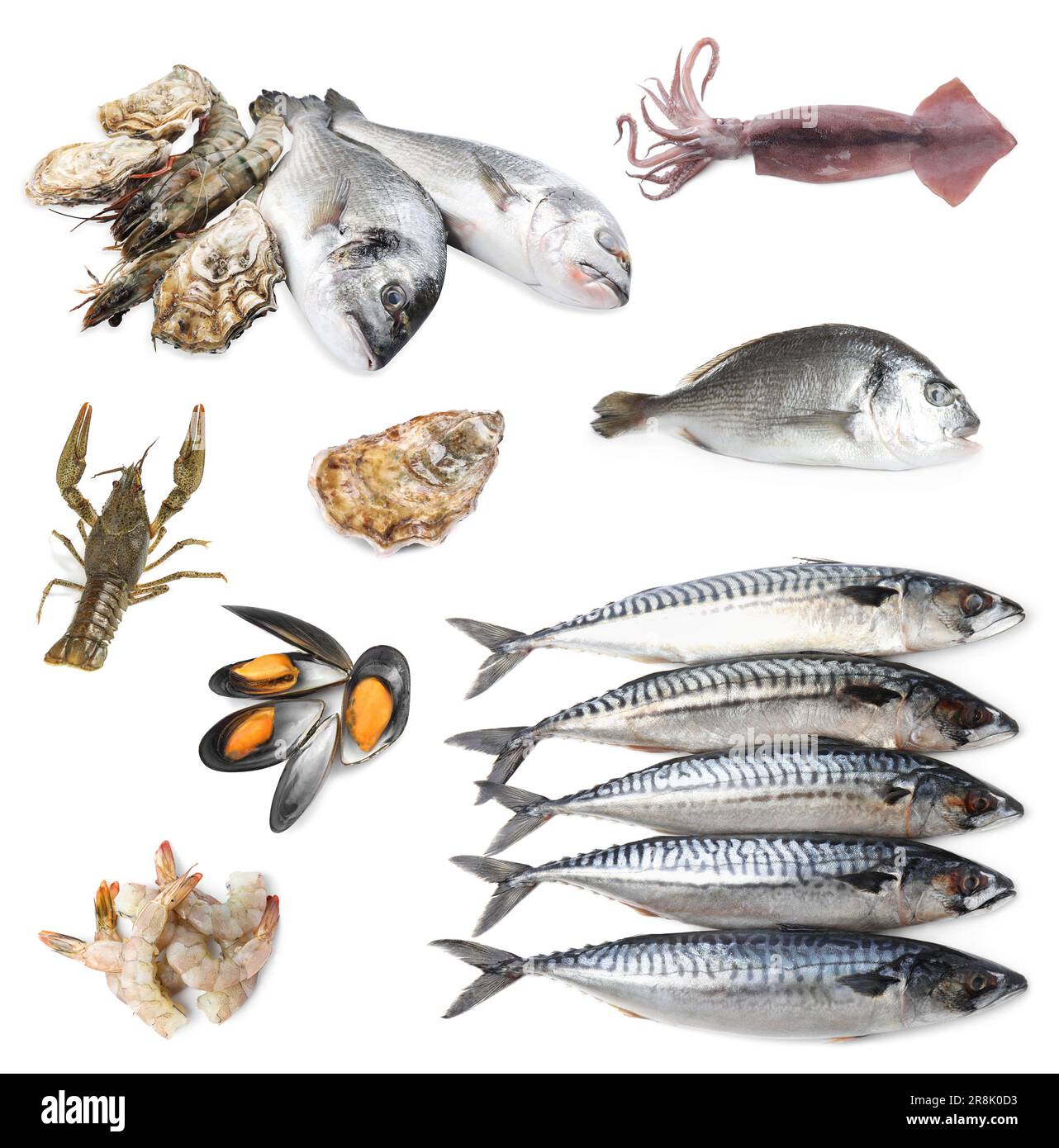 Collage with different seafood on white background Stock Photo - Alamy