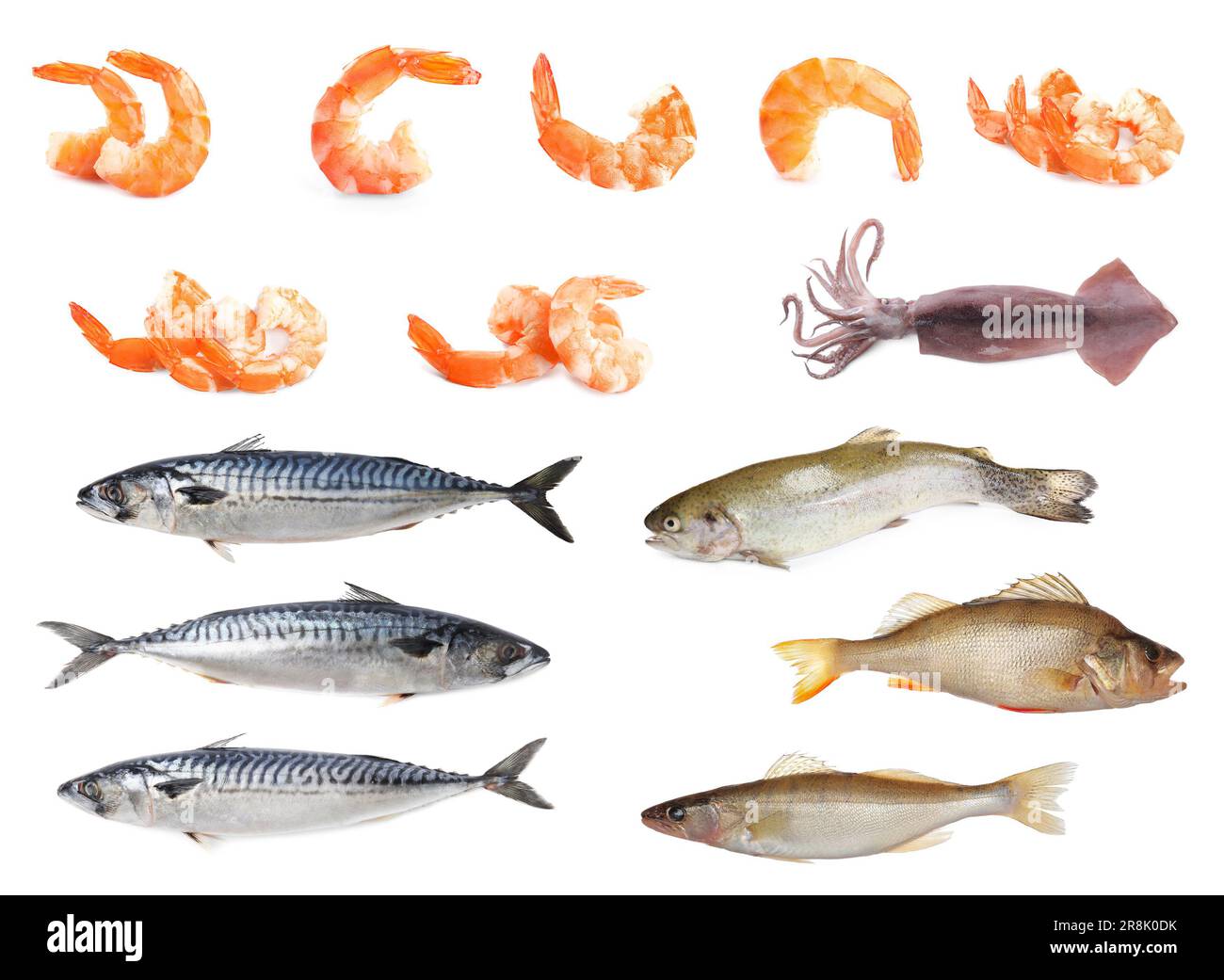 Collage with different seafood on white background Stock Photo - Alamy