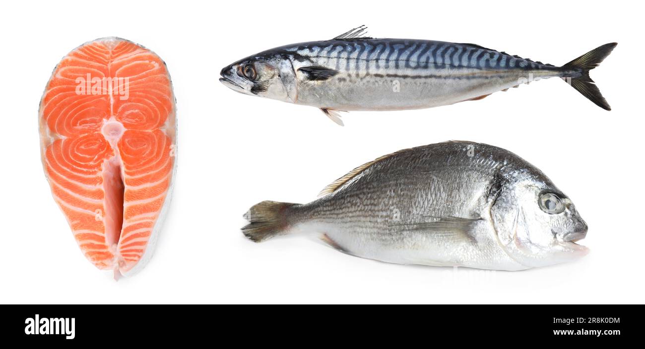 Collage with different types of raw fish on white background Stock ...