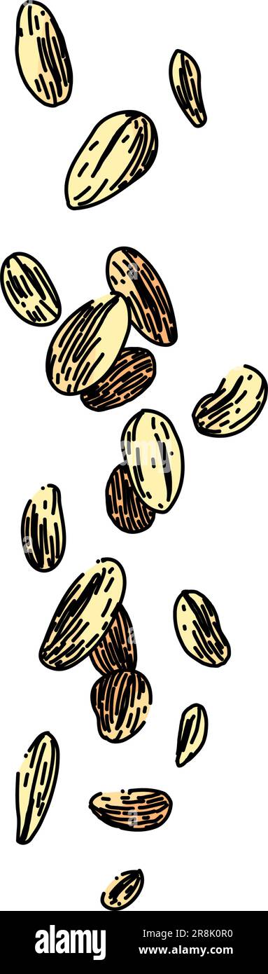 oatmeal oat flakes sketch hand drawn vector Stock Vector Image & Art ...