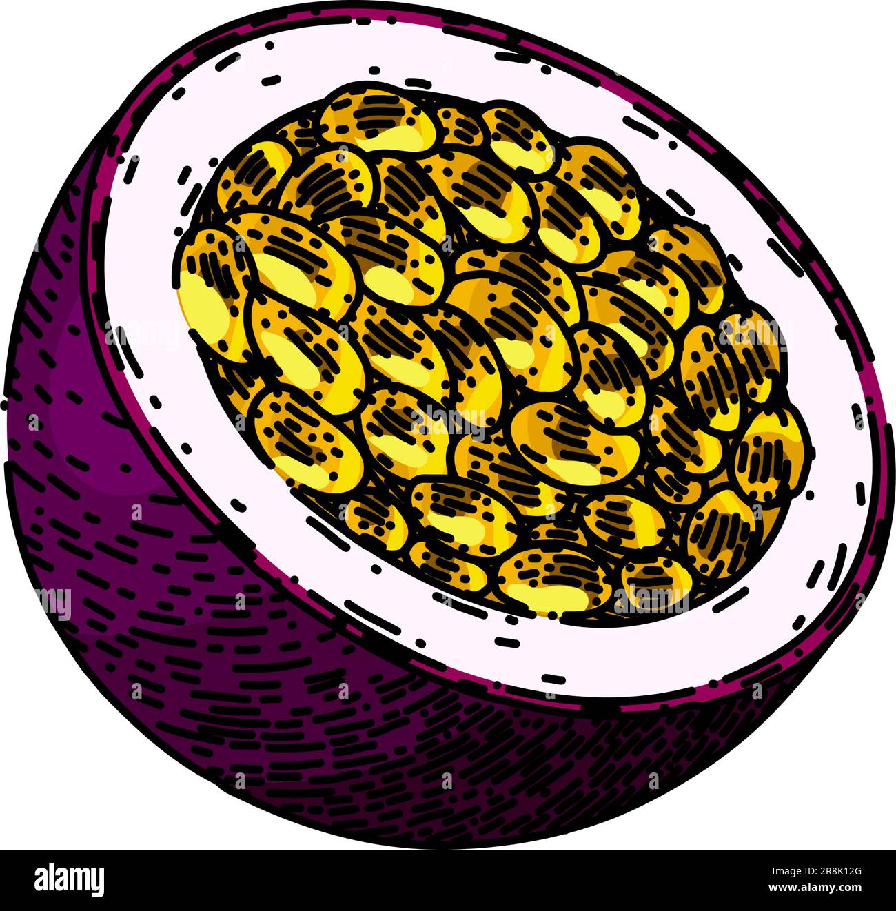 Passion Fruit Slice Sketch Hand Drawn Vector Stock Vector Image And Art