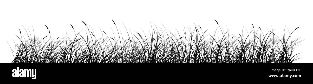 silhouettes of grass Stock Vector Image & Art - Alamy