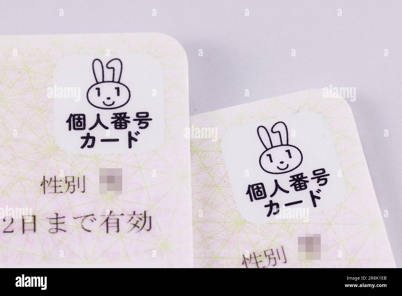 Tokyo, Japan. 28th Apr, 2023. Individual Number Cards, also called My ...