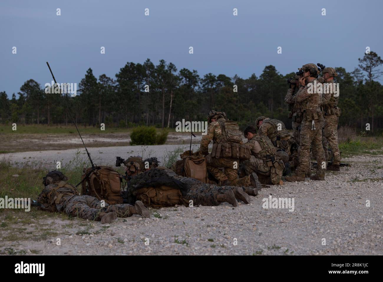U.S. Marines with 2nd Air Naval Gunfire Liaison Company and British ...