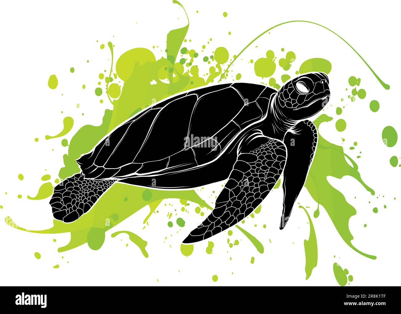 vector illustration of sea turtle on water Stock Vector Image & Art - Alamy