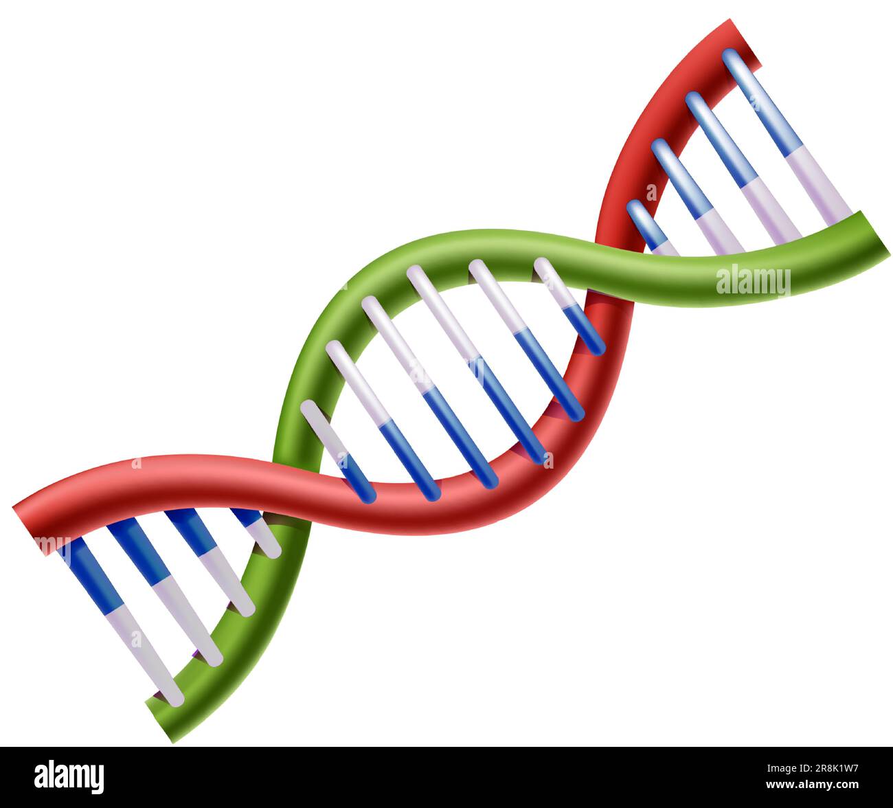 3d realistic vector icon of dna. Medial concept and element Stock ...