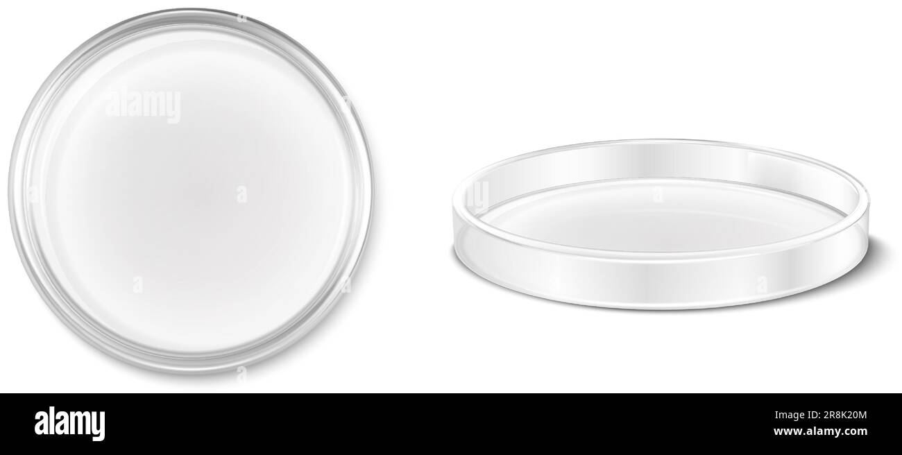 3d realistic vector icon. Petri dish. Laboratory and sience equipment ...