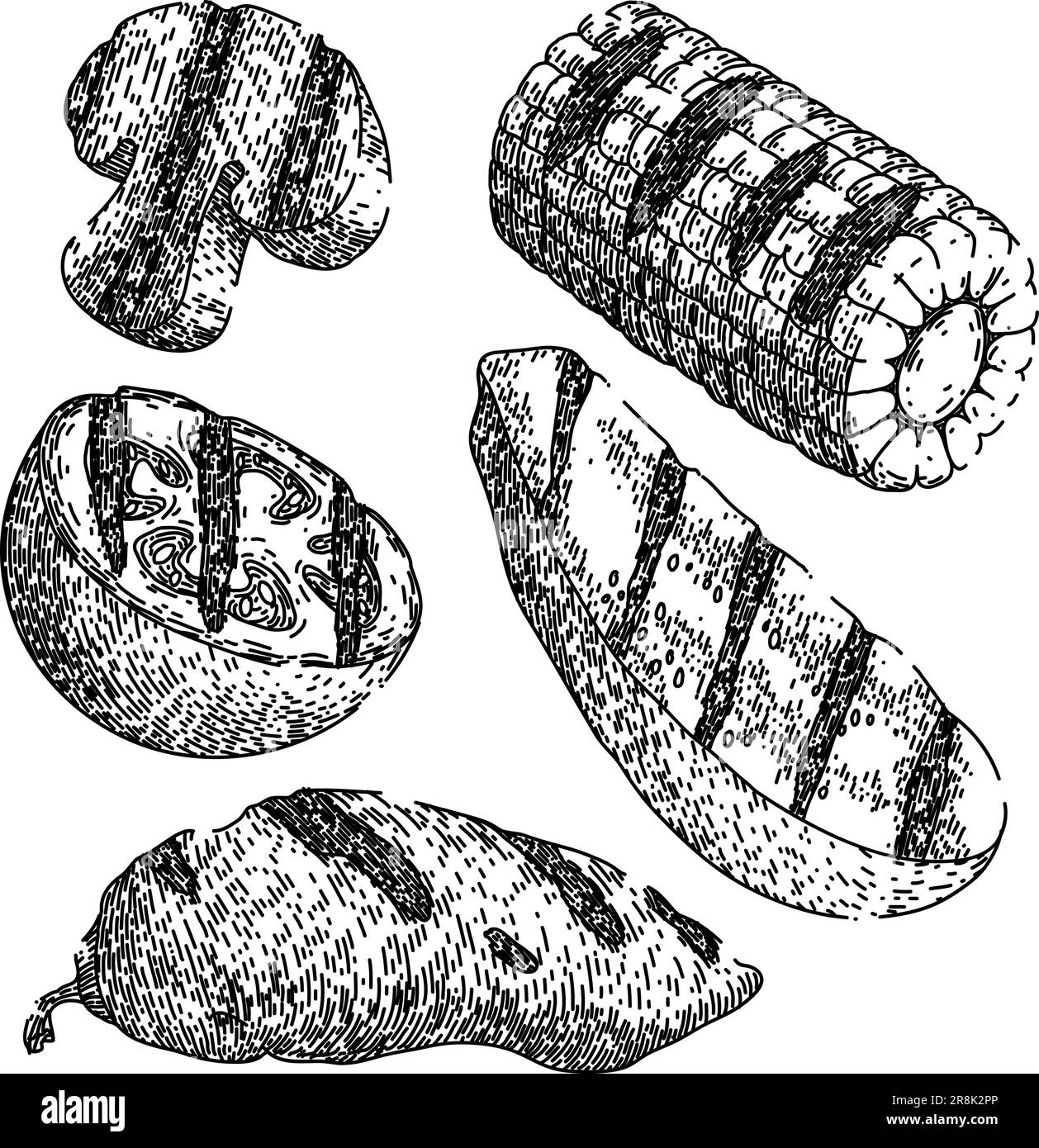 grilled vegetables set sketch hand drawn vector Stock Vector Image ...