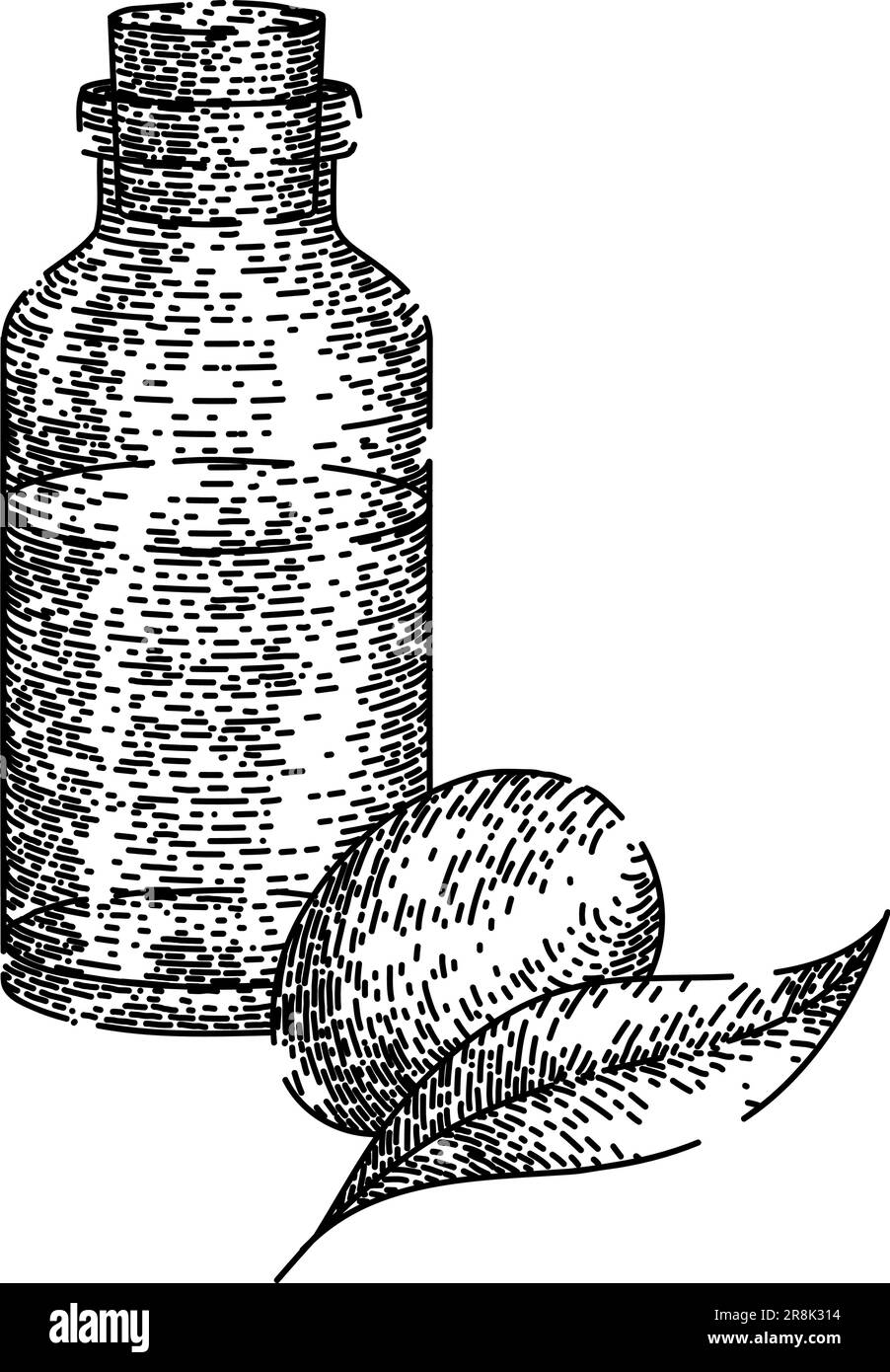 jojoba oil bottle sketch hand drawn vector Stock Vector Image & Art - Alamy