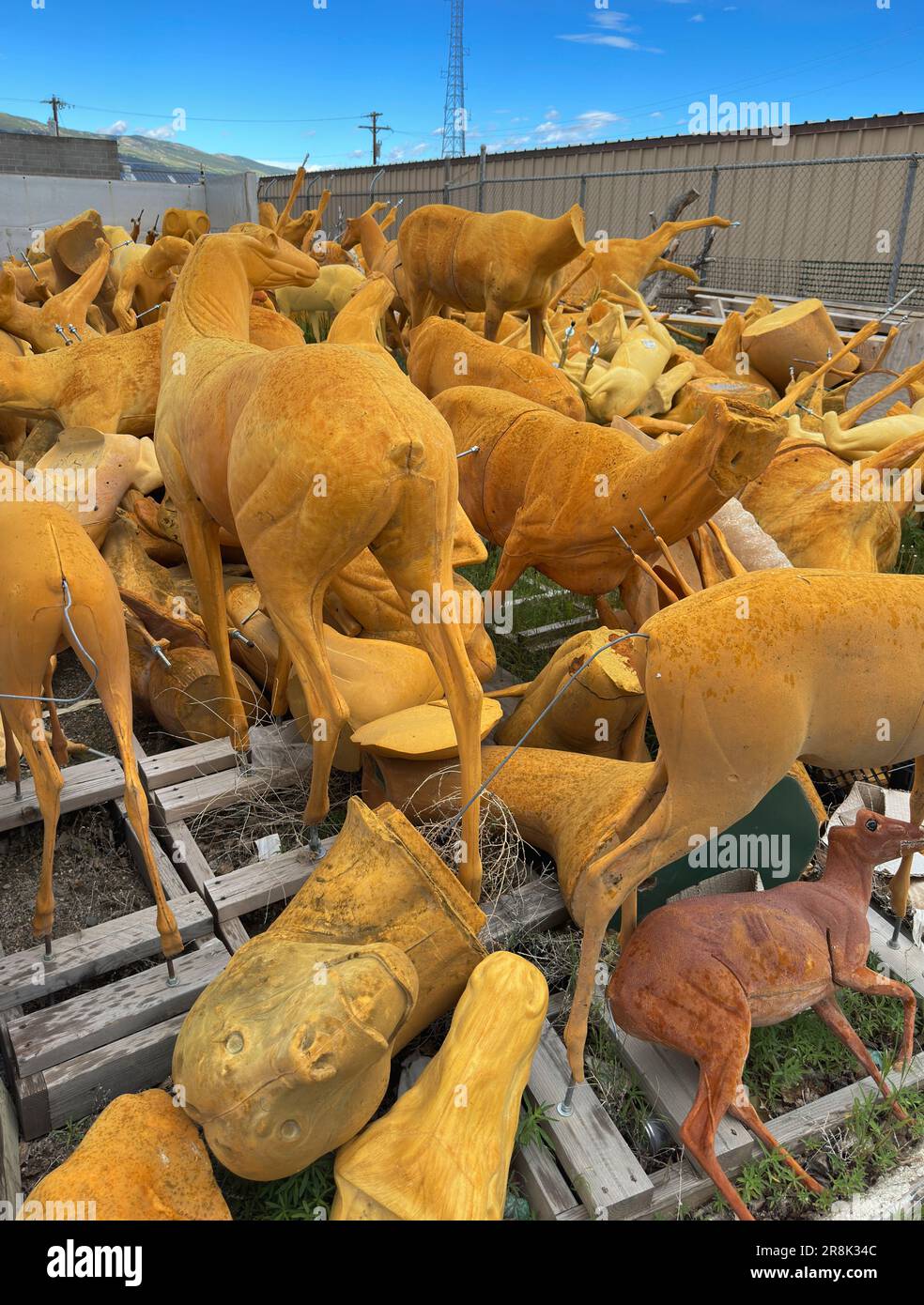 Molds and forms in a wild animal boneyard are resting outside until ...